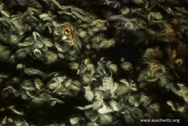 The Stench of Dehumanization, Auschwitz by Karletta Marie | Inspiring ...