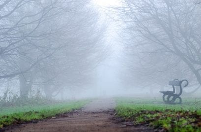 The Song of the Nightingale | After Winter Must Come Spring | Inspiring ...