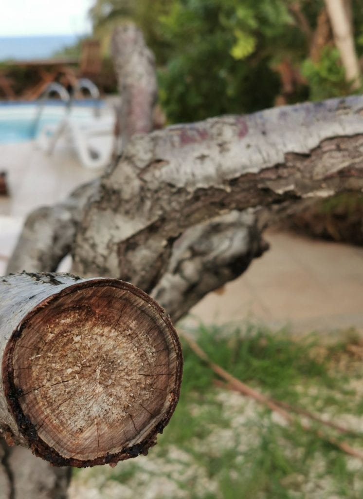 I called the landlord,