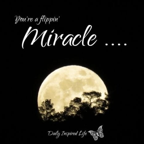 You’re a Flippin’ Miracle | Quote by Karletta Marie - Daily Inspired Life